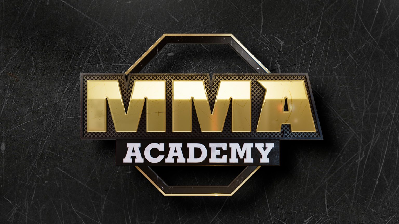 MMA Academy - Satisfaction Group