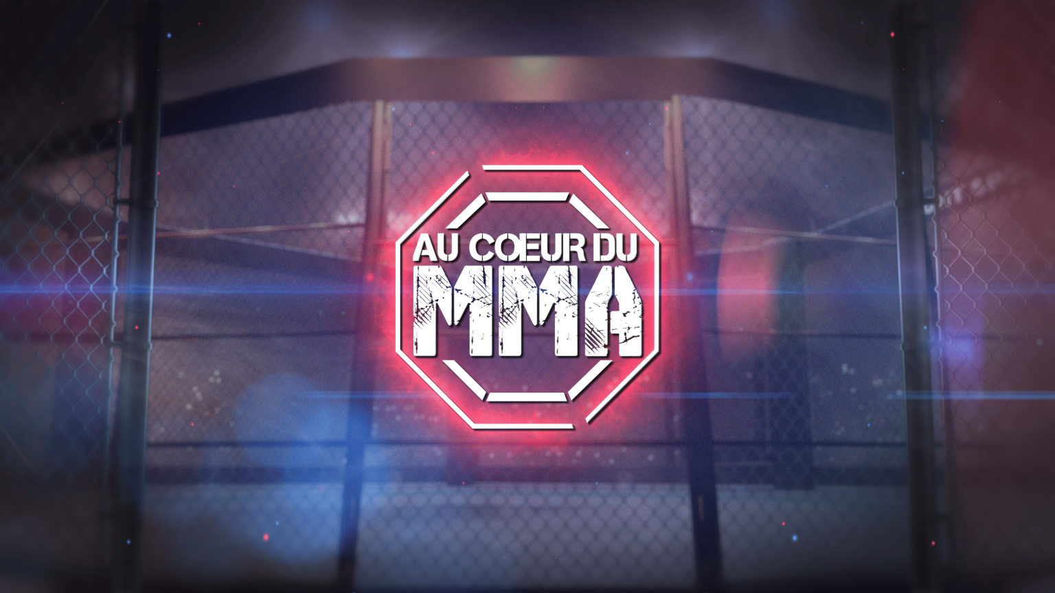Au Cœur du MMA - Satisfaction Group